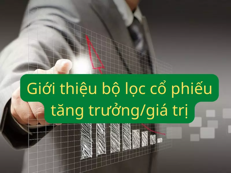 [4 Tips] Bộ lọc cổ phiếu tăng trưởng/Bộ lọc cổ phiếu giá trị